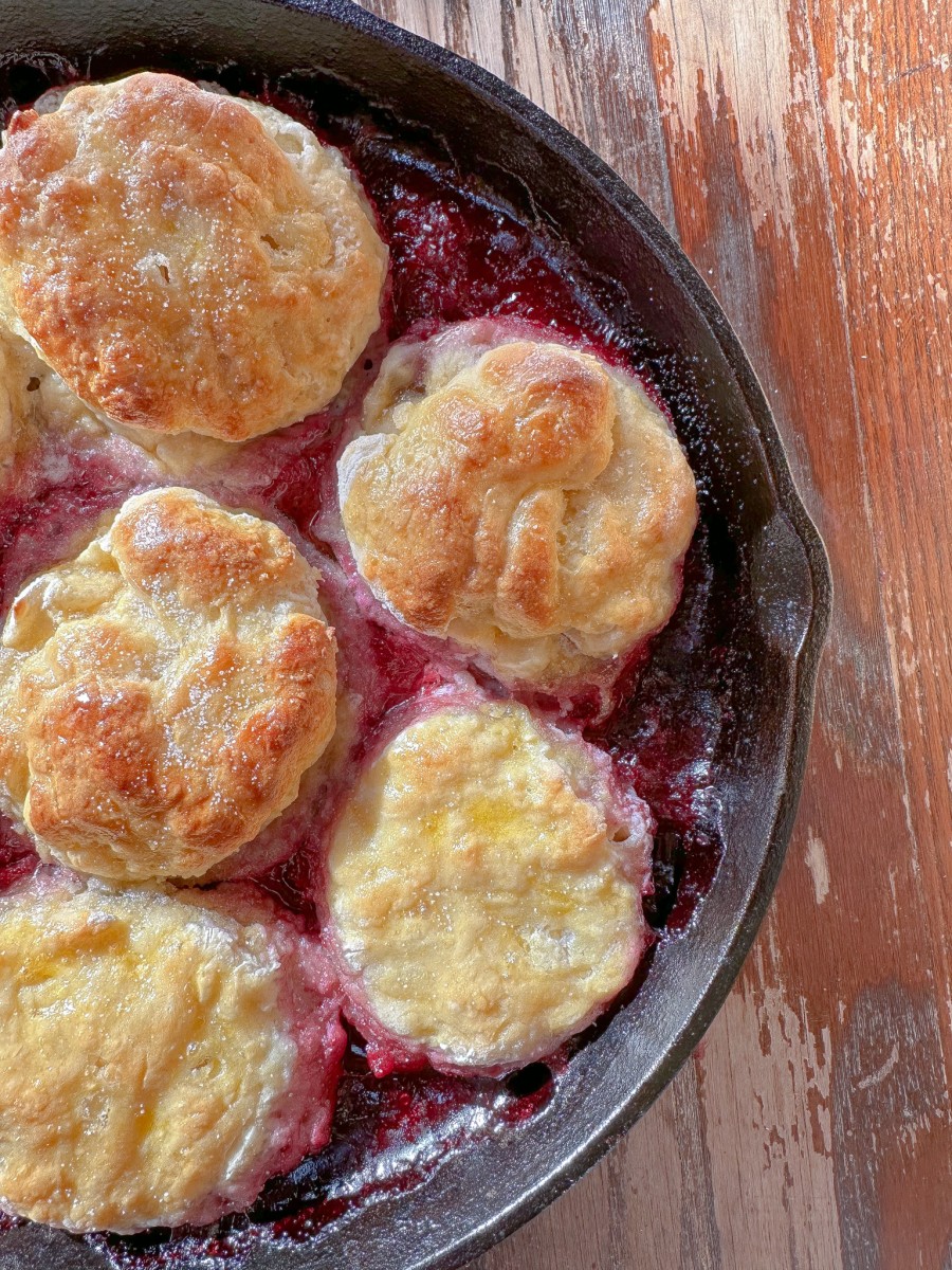 GINGER PLUM BISCUIT COBBLER